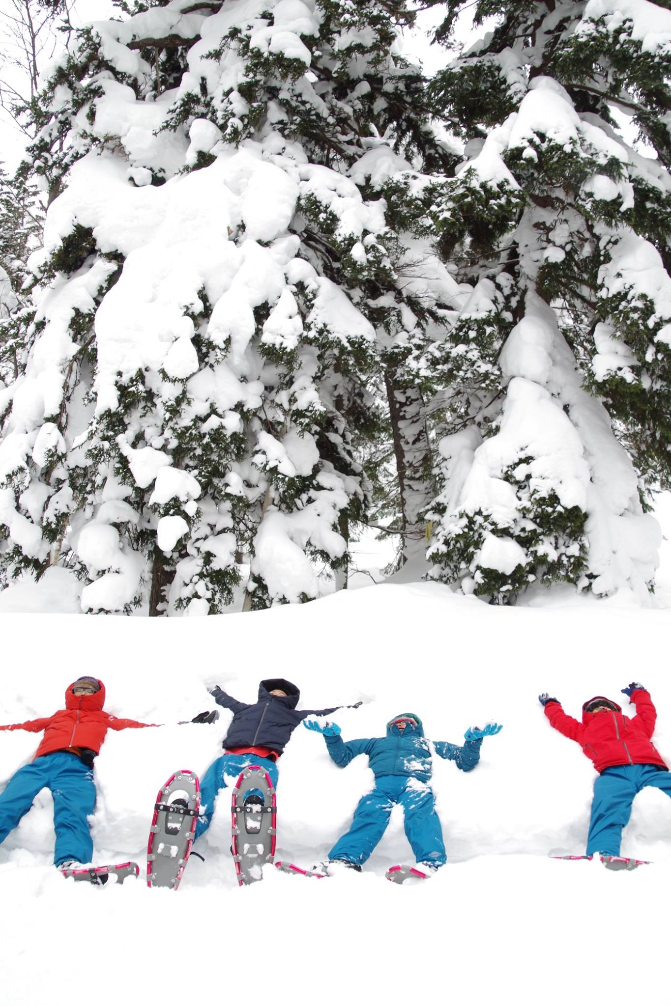 Winter Morning Walk- Furano’s River by Snowshoes – All Hokkaido | Find ...