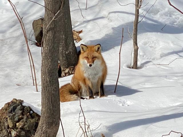 Abashiri Snowshoe Experience- Cape Notoro Ice Fall Course – All ...
